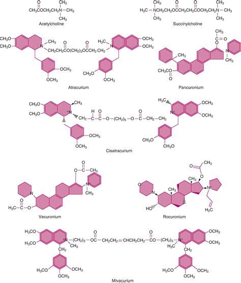 Neuromuscular Blocking And Reversal Agents Clinical Tree