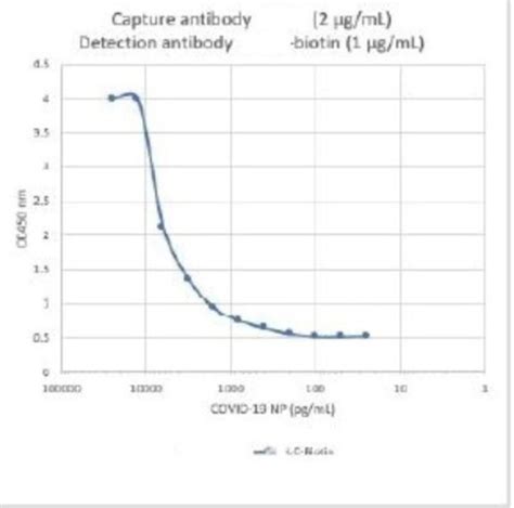 Sars Cov 2 Nucleocapsid Antibody 75g5a Novus Biologicals 005 Mg