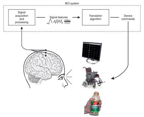 An Introduction To The Brain Computer Interface Technology The Brainy