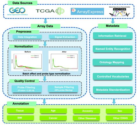 Schematic Overview Of Data Processing Workflow Download Scientific