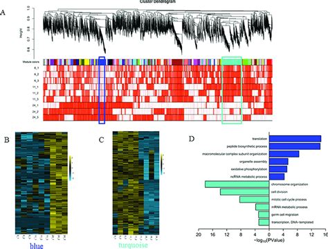 Wgcna For Detecting Modules Related To Pgc Development A