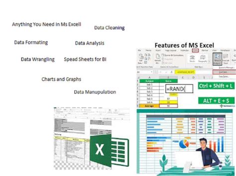 Do Ms Excel Operation For Data Analysis And Reporting By Roonit Fiverr