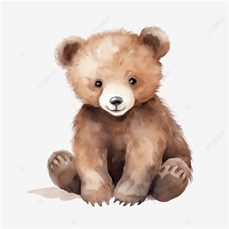 귀여운 갈색 곰 수채화 곰 수채화 클립 아트 Png 일러스트 및 이미지 에 대한 무료 다운로드 Pngtree