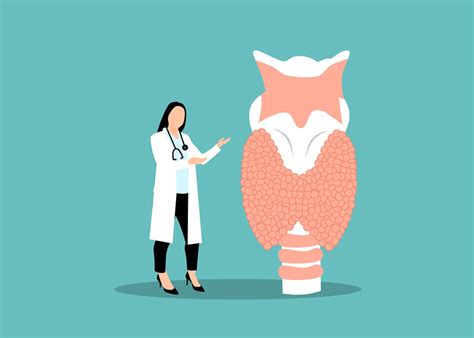 Thyroid Disorders Hypothyroidism And Hyperthyroidism And Hormonal Dysregulation Klarity