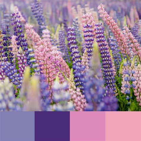 Color Schemes And How To Create Your Own With Pixlr Pixlr Blog