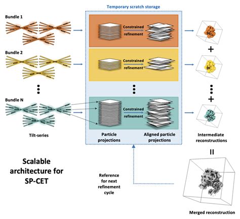 Nextpyp A Comprehensive And Scalable Platform For Single Particle Cryo Et Bartesaghi Lab