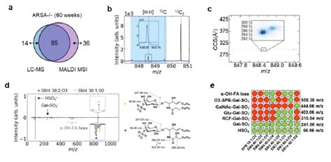 Ground Truth Evaluation And Deep Ion Mobility Profiling Via Download Scientific Diagram