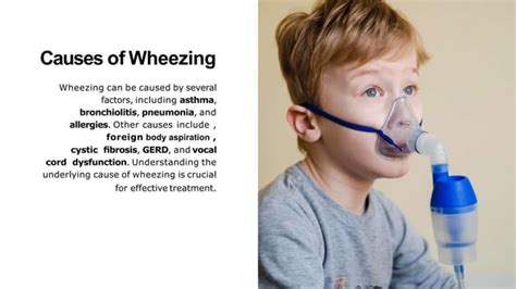Wheeze Chest In Pediatric Pptx