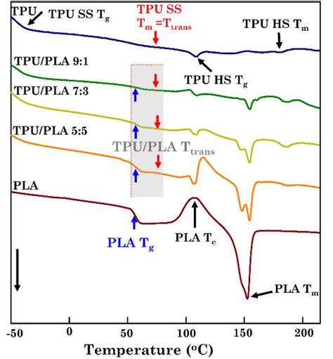 Dsc Curves Of Pla Tpu And Tpu Pla Blend Filaments Download Scientific Diagram