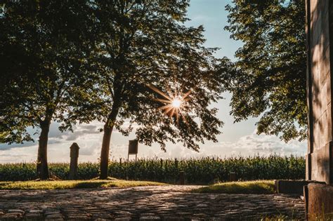 7 Duurzaam Leven Tips Powerpeers