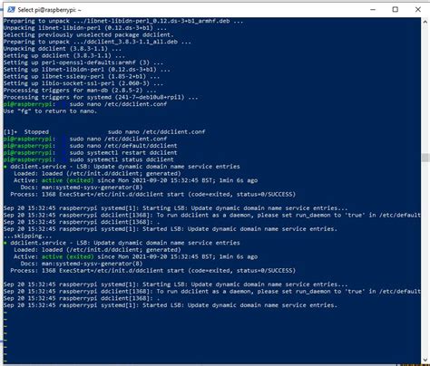 Trying To Set Up A Vpn On A Raspberry Pi But I Cant Seem To Configure