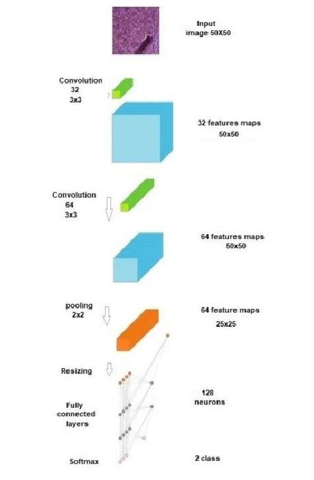 Proposed Architecture For 3 Layer Cnn Download Scientific Diagram
