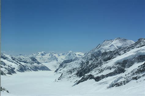 Edci Newsletter Hear From Members About The Value Of The Edci Esgdc