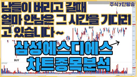삼성에스디에스 주가 시간이 다가오고 있습니다 주식은 내리면 오르는법 자연의이치 삼성에스디에스 주가전망 분석 합니다 Youtube