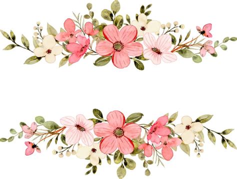 Floral Vector Borders