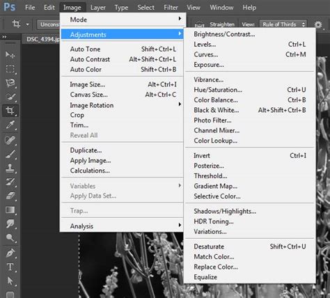 Understanding Photoshop Adjustment Layers 3 Vargis Khan