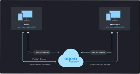 Agora クイックスタート 通話・ 配信 Web 通話・配信sdk ブイキューブ