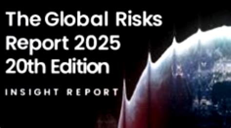 Global Risk Report 2025 Fun Ahead
