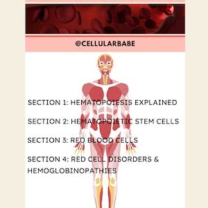 Hematology Rbc Study Guide Cheat Sheet Heme Mlt Mls Mt Rn Nclex Study Laboratory Ascp
