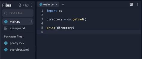 Pythons Os Remove Method