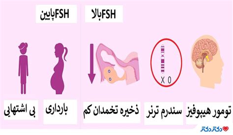 آزمایش هورمونی Fsh؛ نحوه تفسیر و ارزیابی شانس بارداری