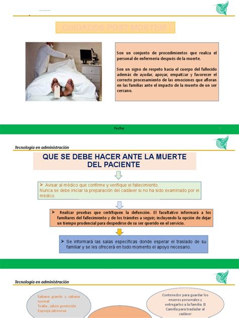 Diapositivas Cuidados Post Mortem Pdf Ciencias De La Salud Medicina