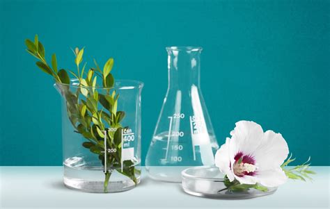 Product Certification Gmp Cosmetics Ll C Certification پاکستان