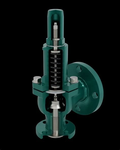 Pressure Relief Valves Model No Fdi Psv 703 Fidicon