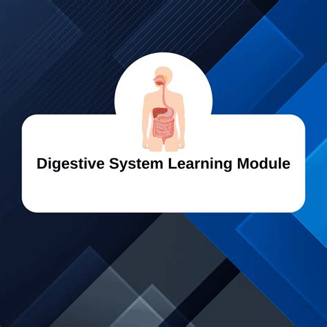 Digestive System
