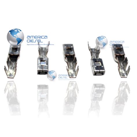 Terminal Apex Pin América Diesel