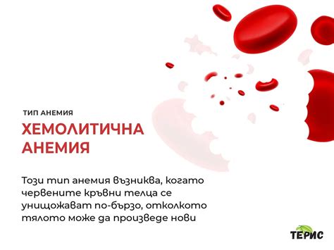 Лековити билки и натурални средства при анемия | Билкови тинктури Терис