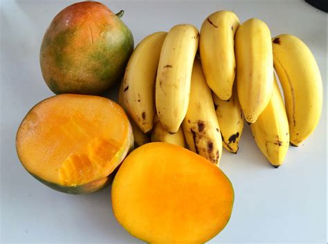 Stay Healthy Particular Fruits That Dramatically Improve