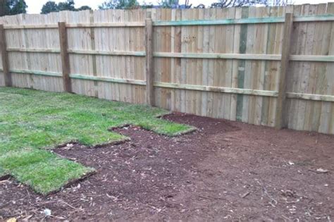 Thinking Of Replacing Your Lawn Active Turf Supplies