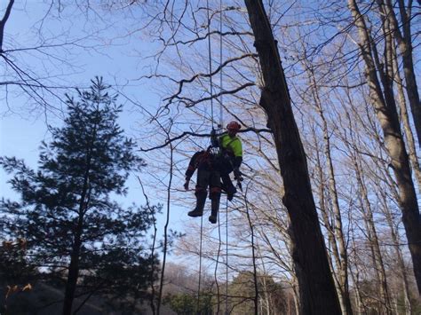 Aerial Rescue Training Sugar Bush Tree Service