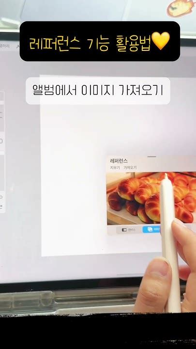프로크리에이트 소소하지만 유용한 꿀팁🐽레퍼런스 기능 레퍼런스 아이패드 그림 프로크리에이트 아이패드드로잉 강좌 팁