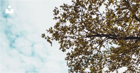 낮에는 푸른 하늘 아래 푸른 잔디밭 사진 Unsplash의 무료 파랑 이미지