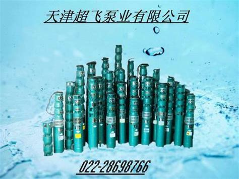 球铁热水潜水泵 QR 厂家价格100元 台 潜水泵 天津超飞潜水泵厂 中国泵阀网 zgbfw