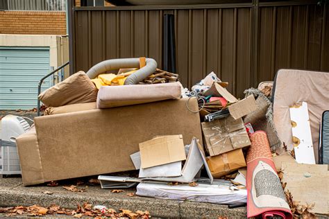 10 Reasons Why You Need The Junk Guys In Your Life The Junk Guys