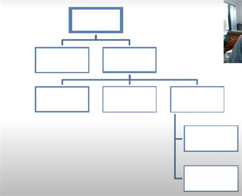 Nervous System Flow Chart Diagram Quizlet