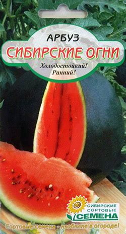 Лучшие сорта арбузов для средней полосы - Дачные советы.ру