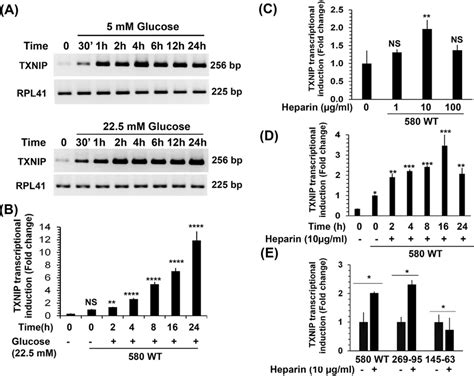 Heparin Modulates Txnip Upregulation Through Chore B In Sk Hep 1 Cells