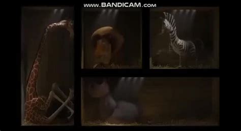 დაწყნარდი ჟორა Coub