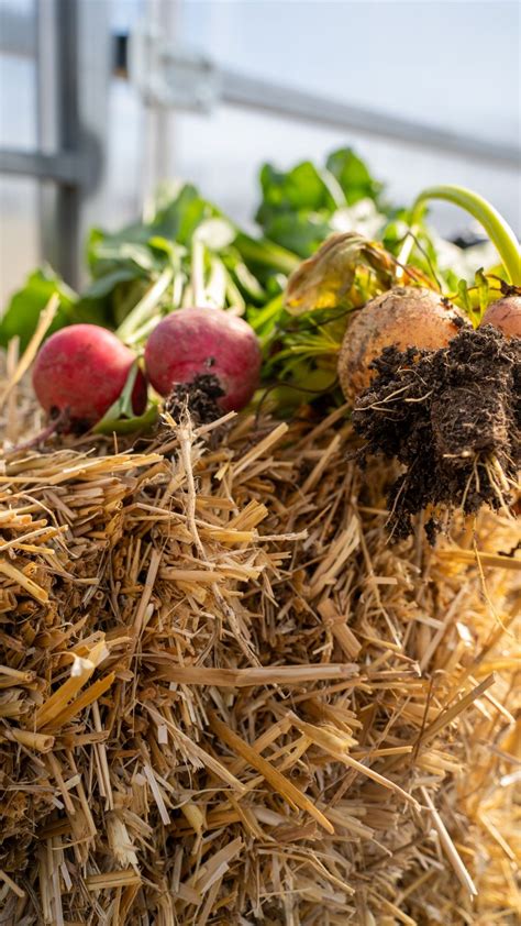 Upmcfarmtohospital Upmc Pinnacle Foundation