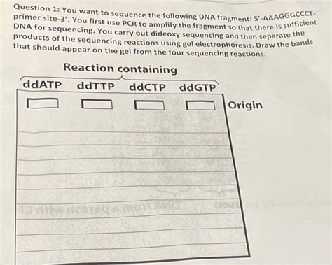 solved question 1 you want to sequence the following dna