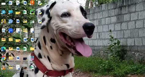 Dhanush Kar On Linkedin Alfidotech Python Pythonprogramming Alfidotech Internship