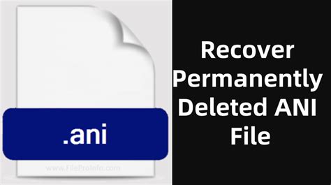 How To Recover Deleted Ani File