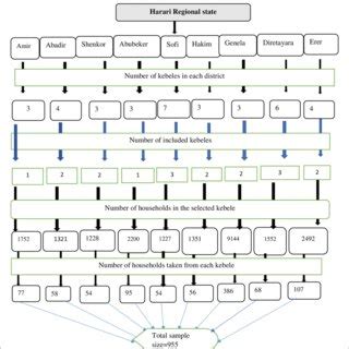 FIGURE Schematic Diagram Of The Sampling Procedures For The Study Download Scientific Diagram