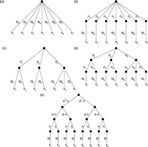 Diagrams Specifying Different Wavefunction Representations See Text Download Scientific