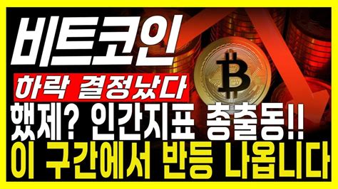 비트코인 전망 하락 결정났다 했제 인간지표 총출동 이 구간에서 반등 나옵니다 Youtube