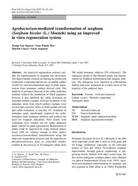 Pdf Improved Agrobacterium Transformation In Sorghum